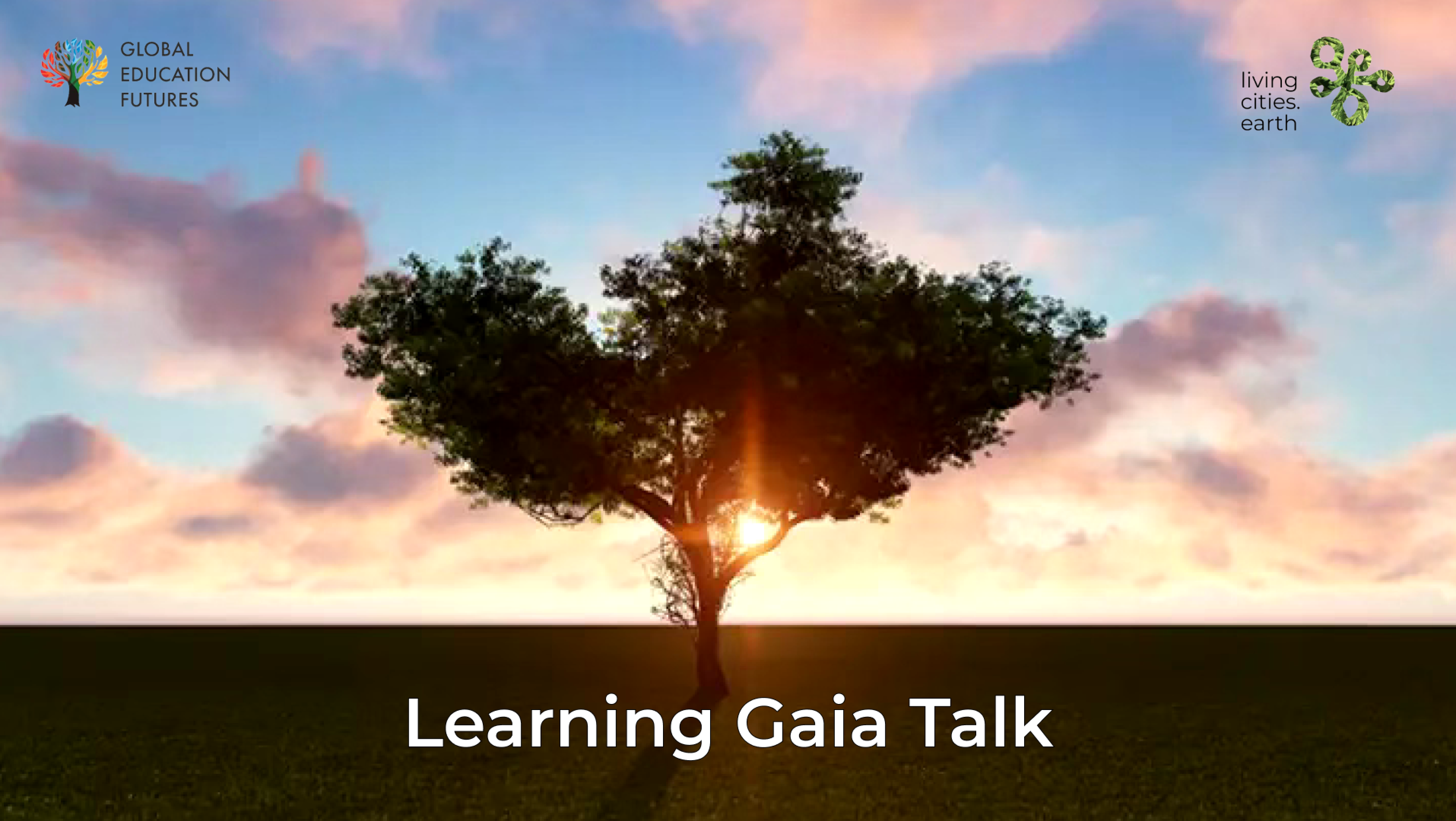 Learning Gaia Talk