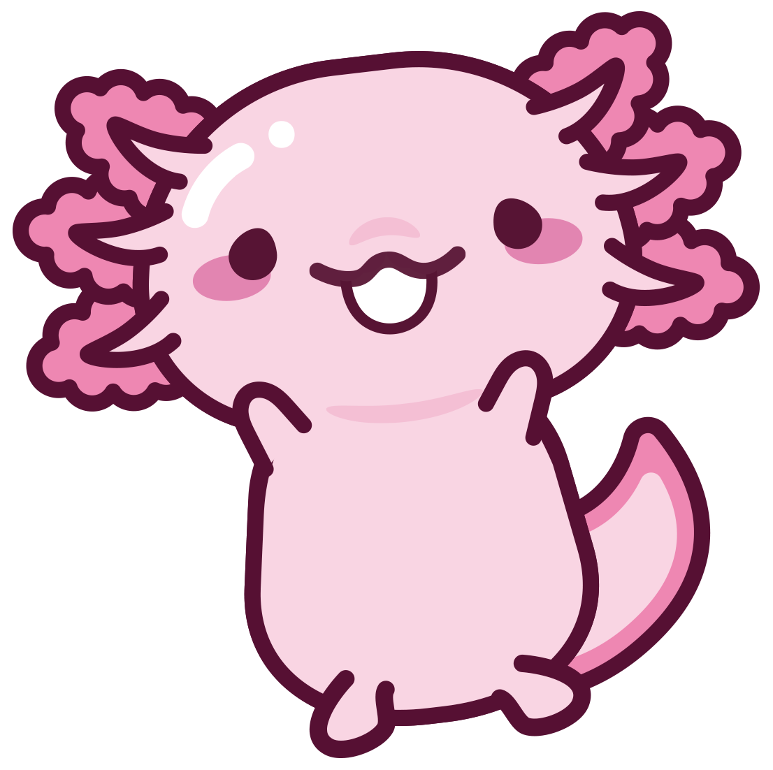 Plusha&friends