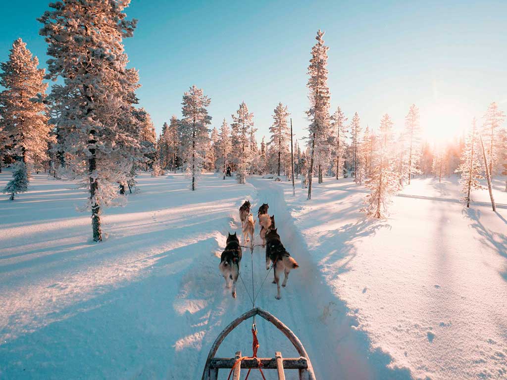 TOP 5 winter activities