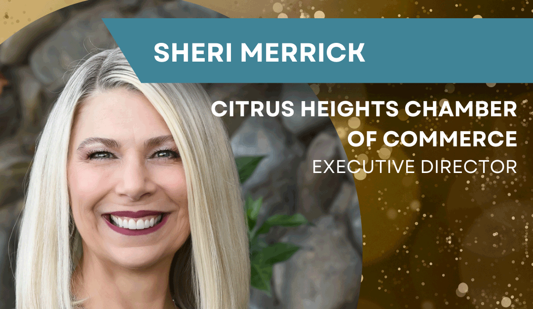 Building Bridges for Business - By Sergey Ivannikov