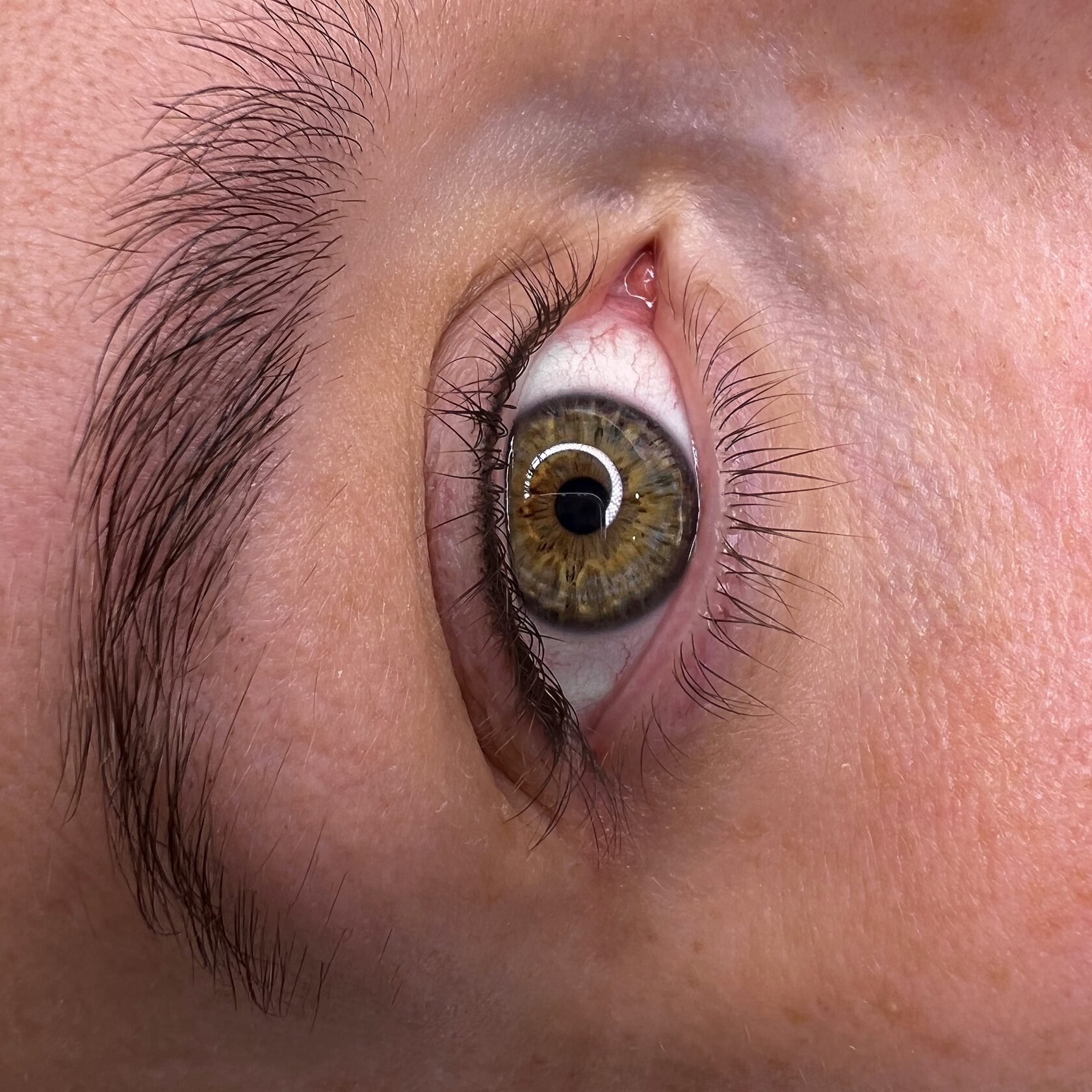 Permanent Lash Line Enhancement: Makeup Studio Westna in Apex, NC