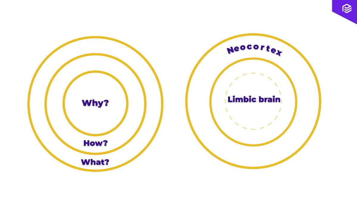 Building Successful Companies: Understanding Simon Sinek's Golden ...