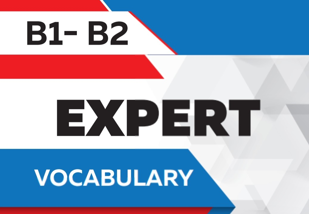EXPERT VOCABULARY B1-B2. Английский язык Лексика