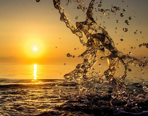 Купить шестеренчатые насосы Seaflo по доступным ценам. Заказать насос ...