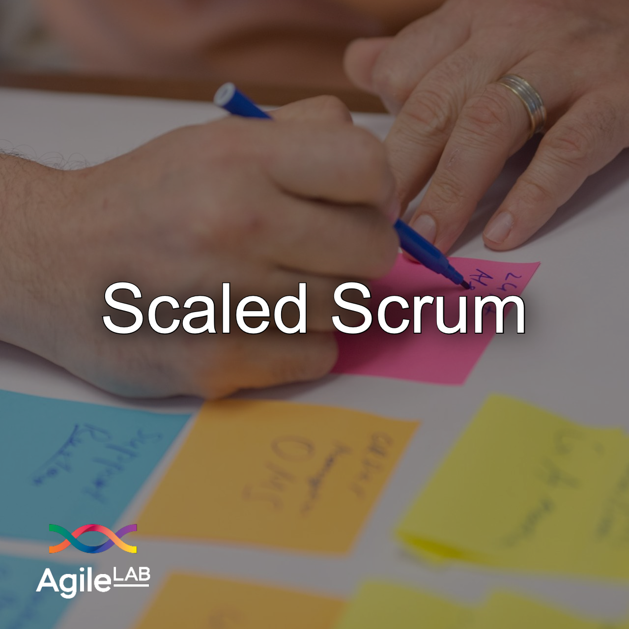 Scaled Scrum | AgileLAB