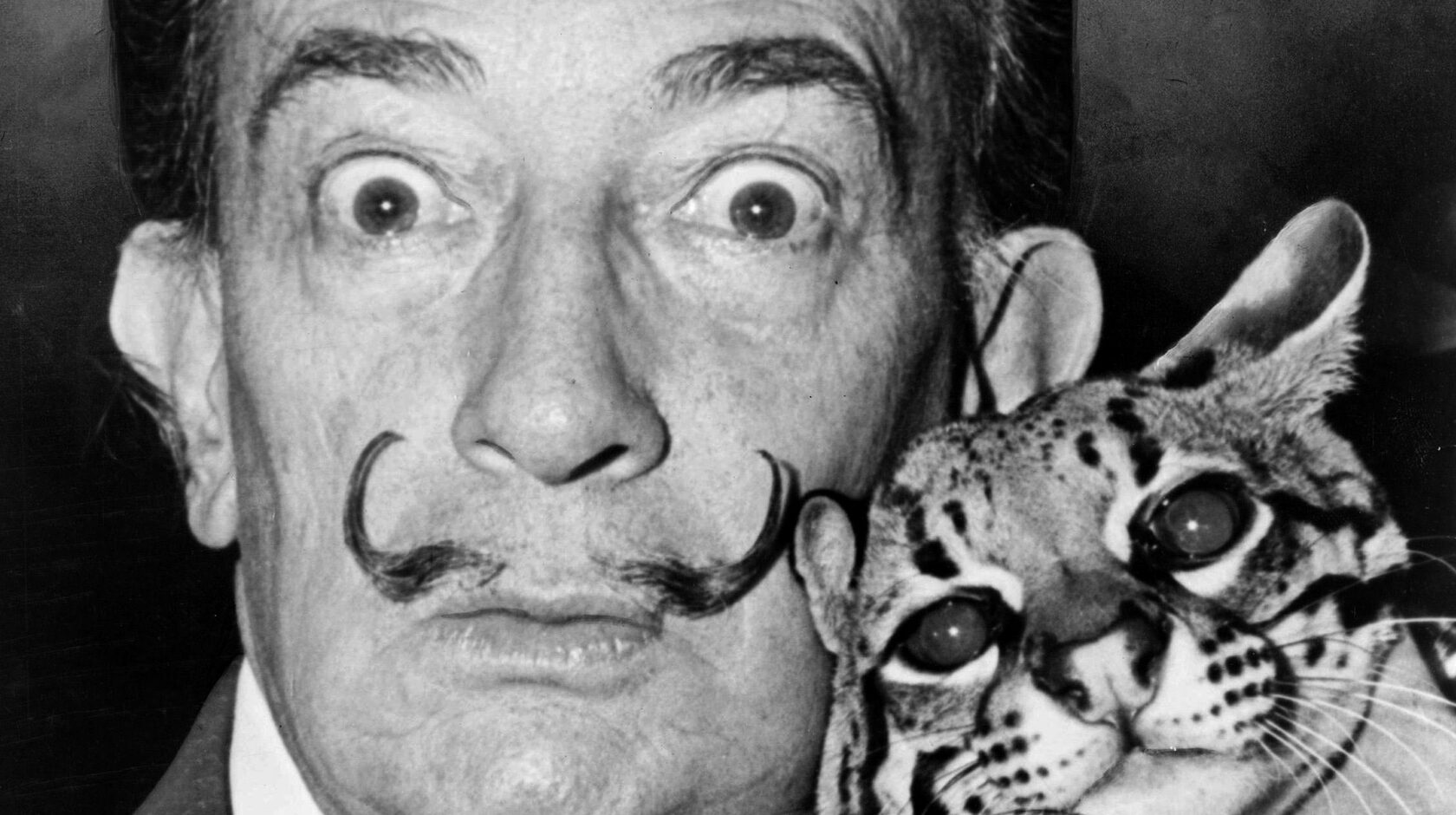 "Salvador Dalí's Whimsical World: The Enigmatic Bond with His Pet ...
