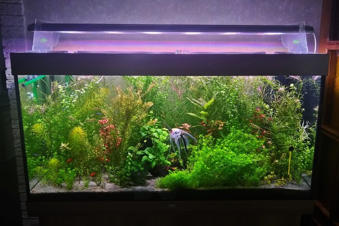 Статьи от AquaLED