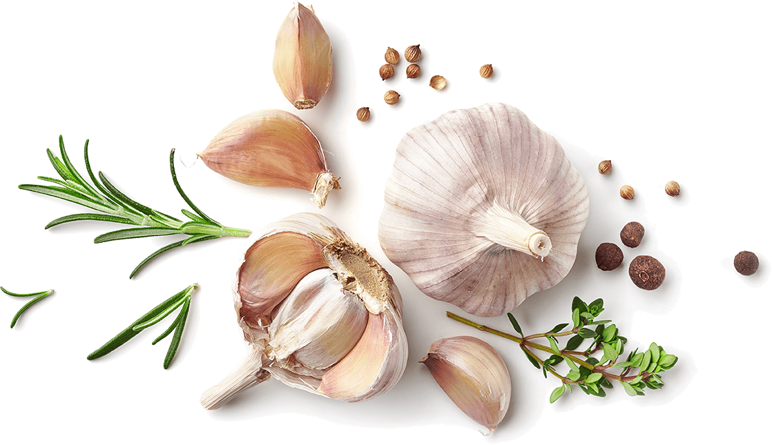 «Семилукская Трапеза»