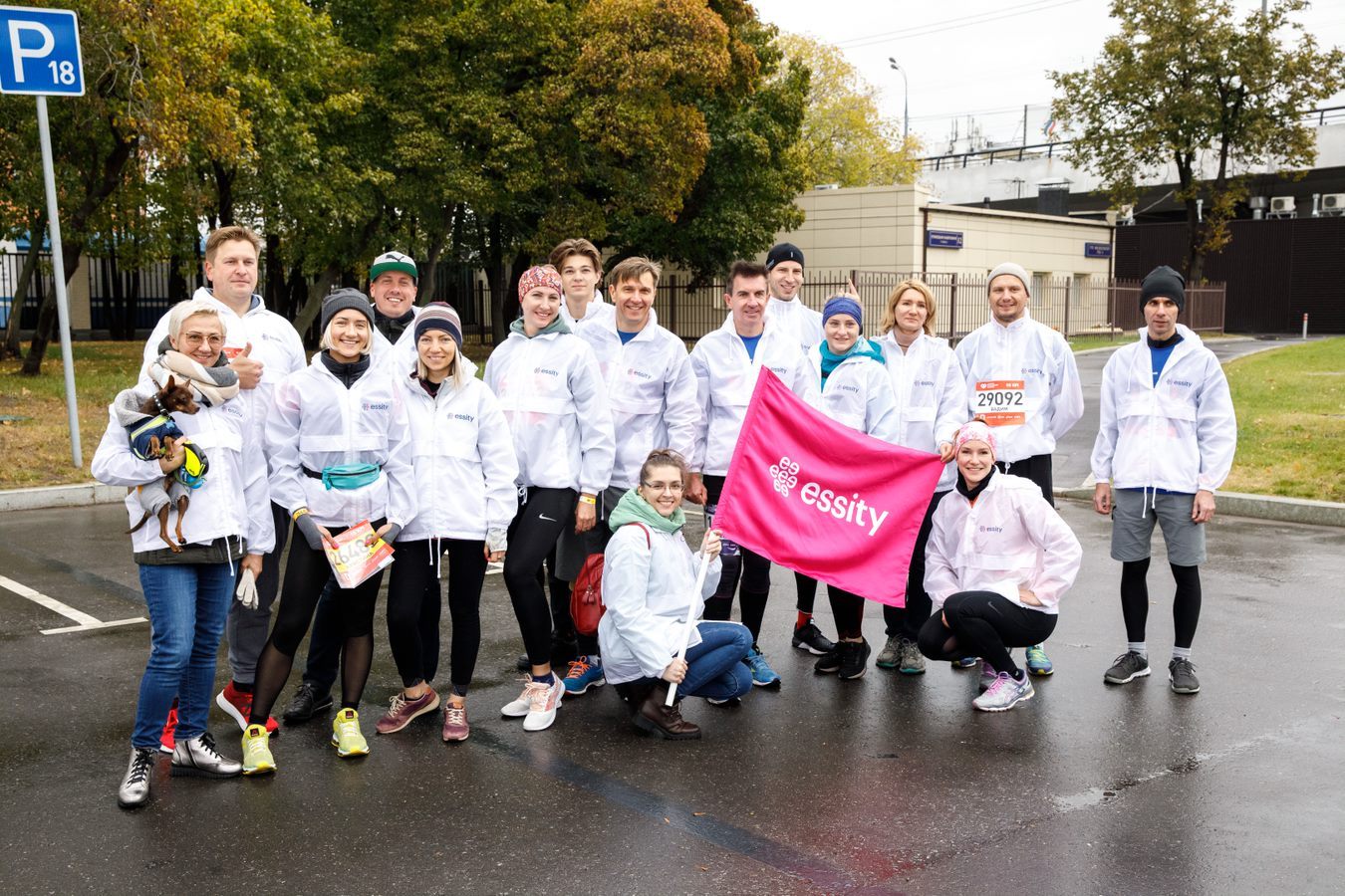 Стажировки в компании Essity