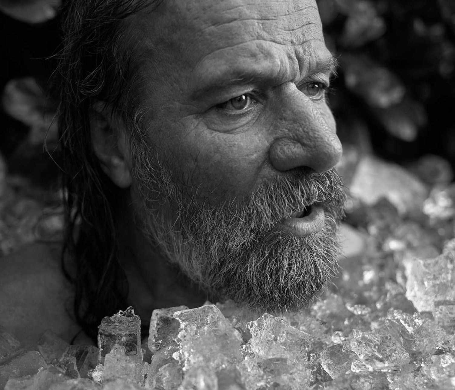 Каталог ICE TRIBE – ванны для закаливания, сауны, PEMF маты