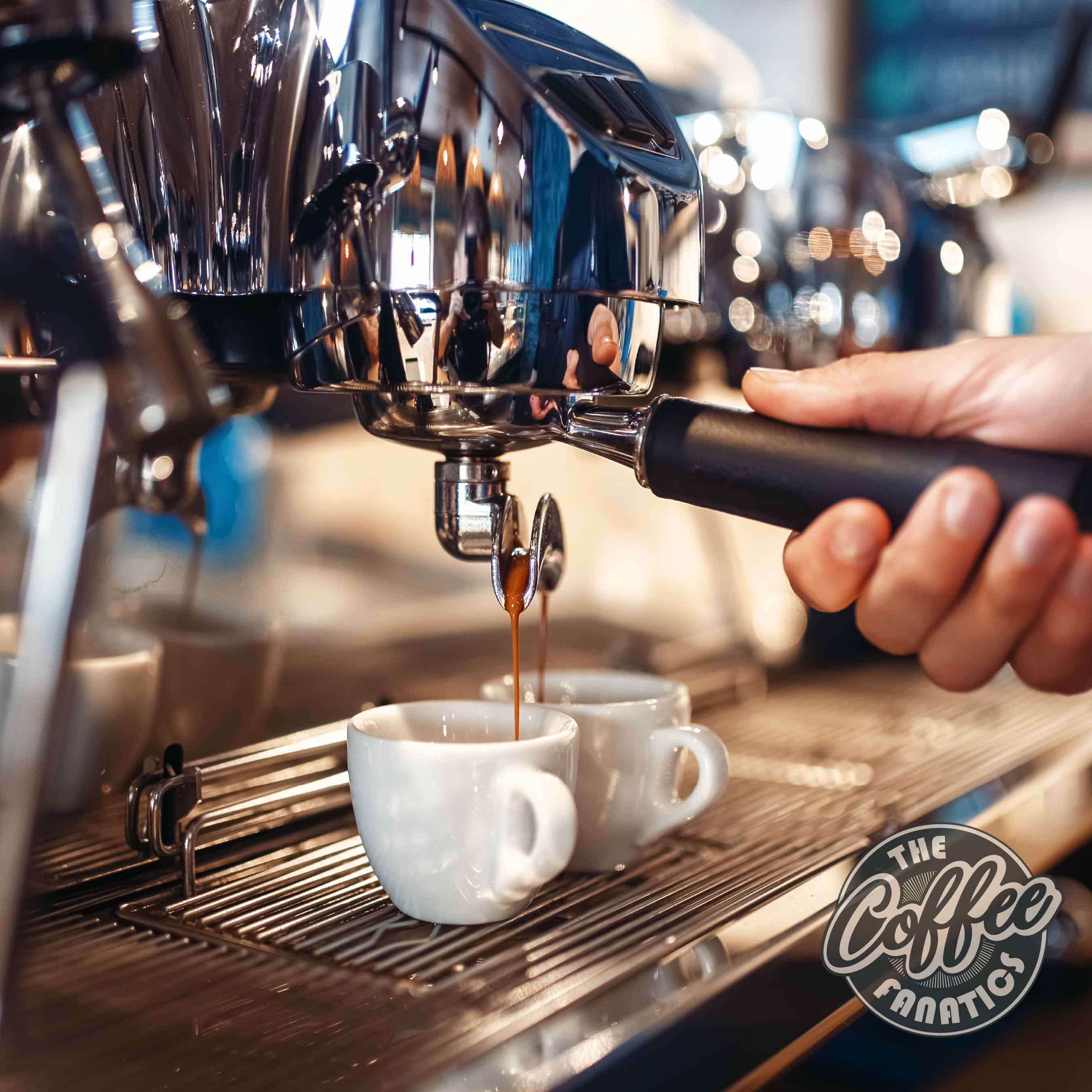 All you need to know about coffee