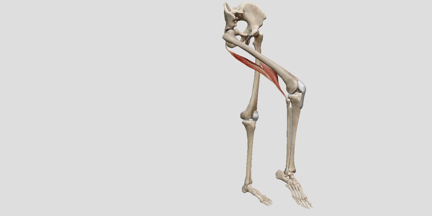 Бесплатный урок — Миология