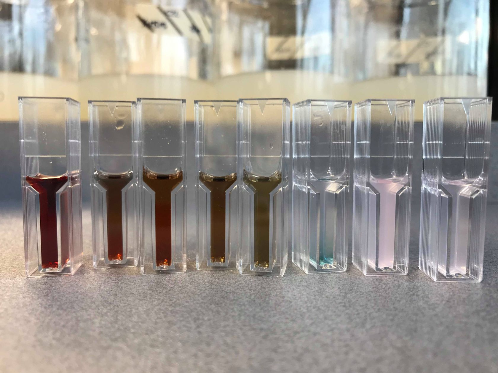 Using biochemical tools to understand sugar digestion in humans