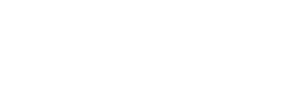 Same-day courier delivery in India | Borzo