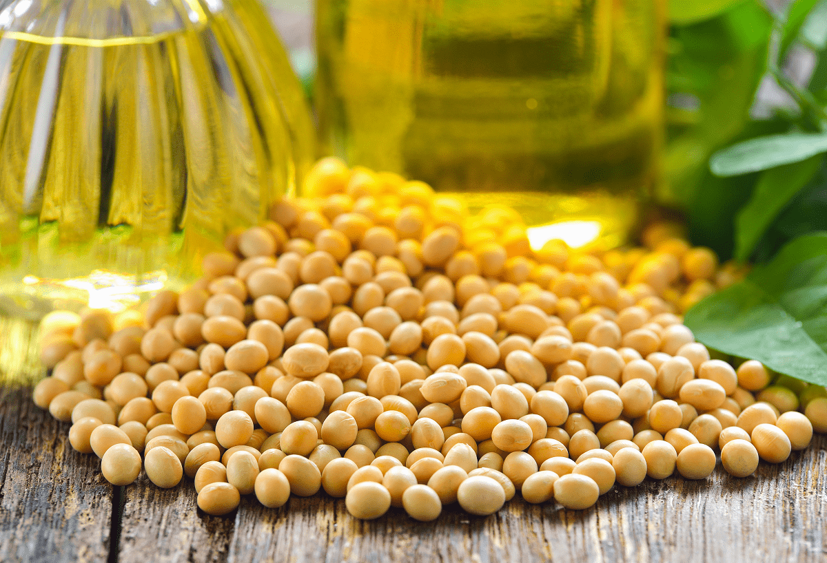 Soybean oil | Sever Trading