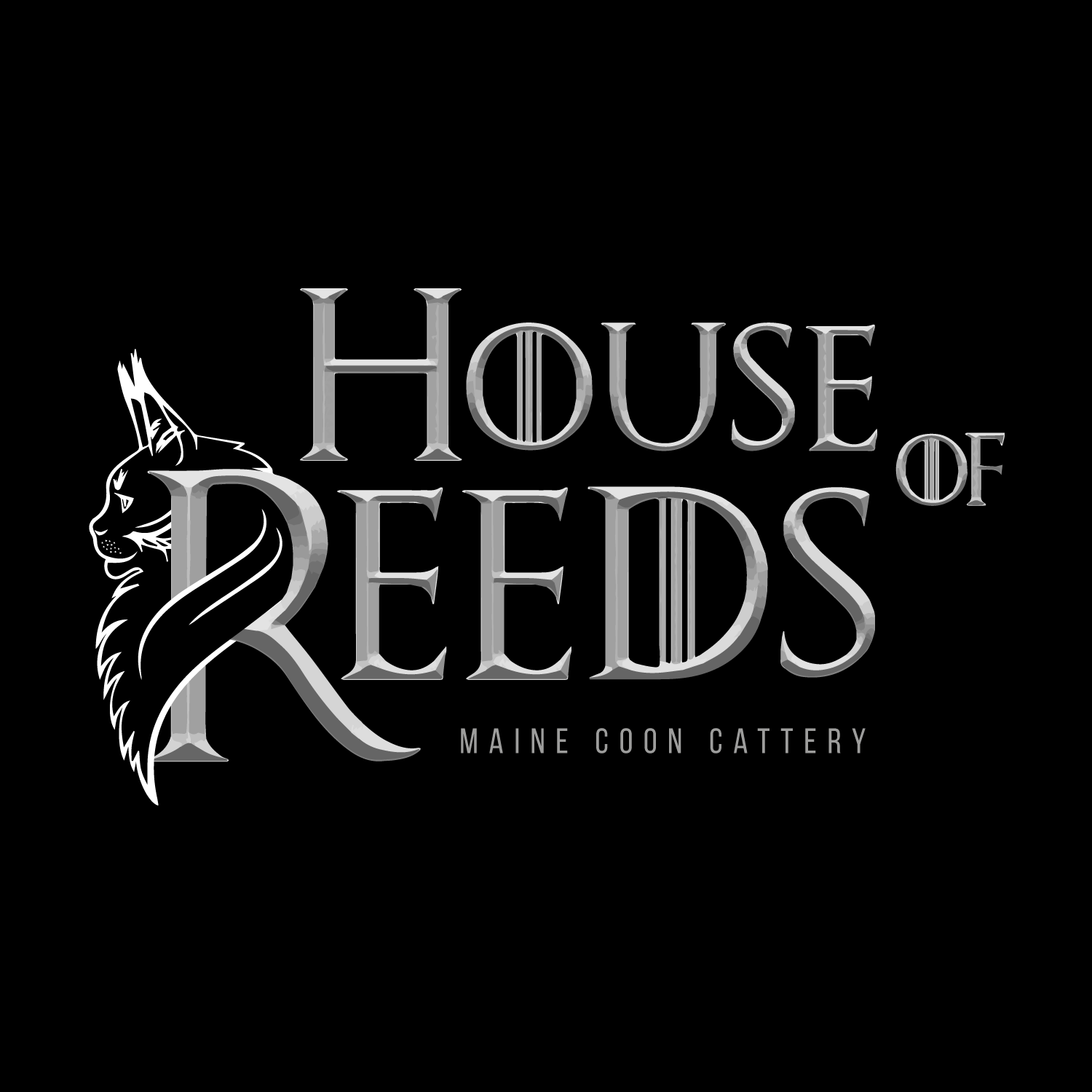 Питомник мейн-кунов House of Reeds СПб