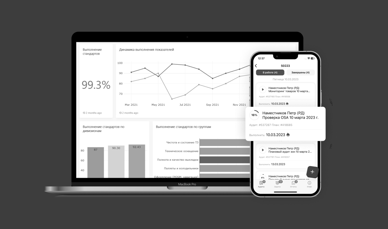 Imredi Audit Pro light