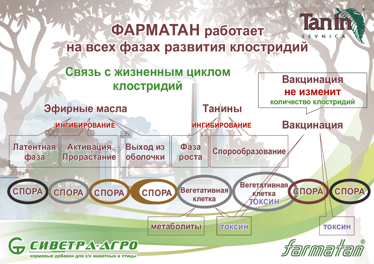 ФАРМАТАН ТМ