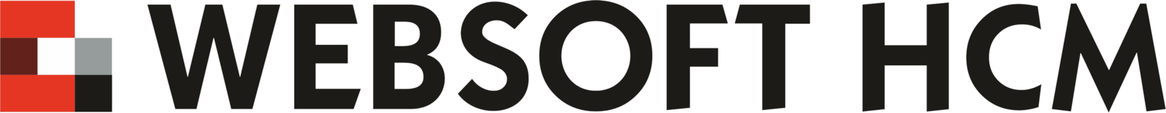 Websoft.Практика 2024