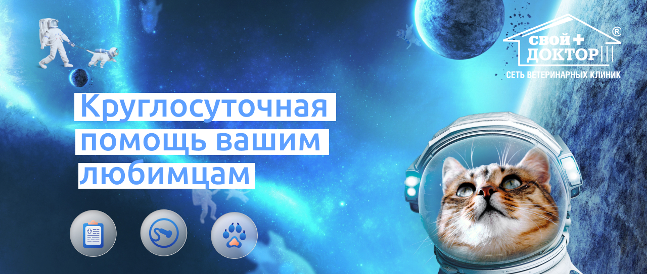 Ветеринарная клиника в Санкт-Петербурге с круглосуточным приемом