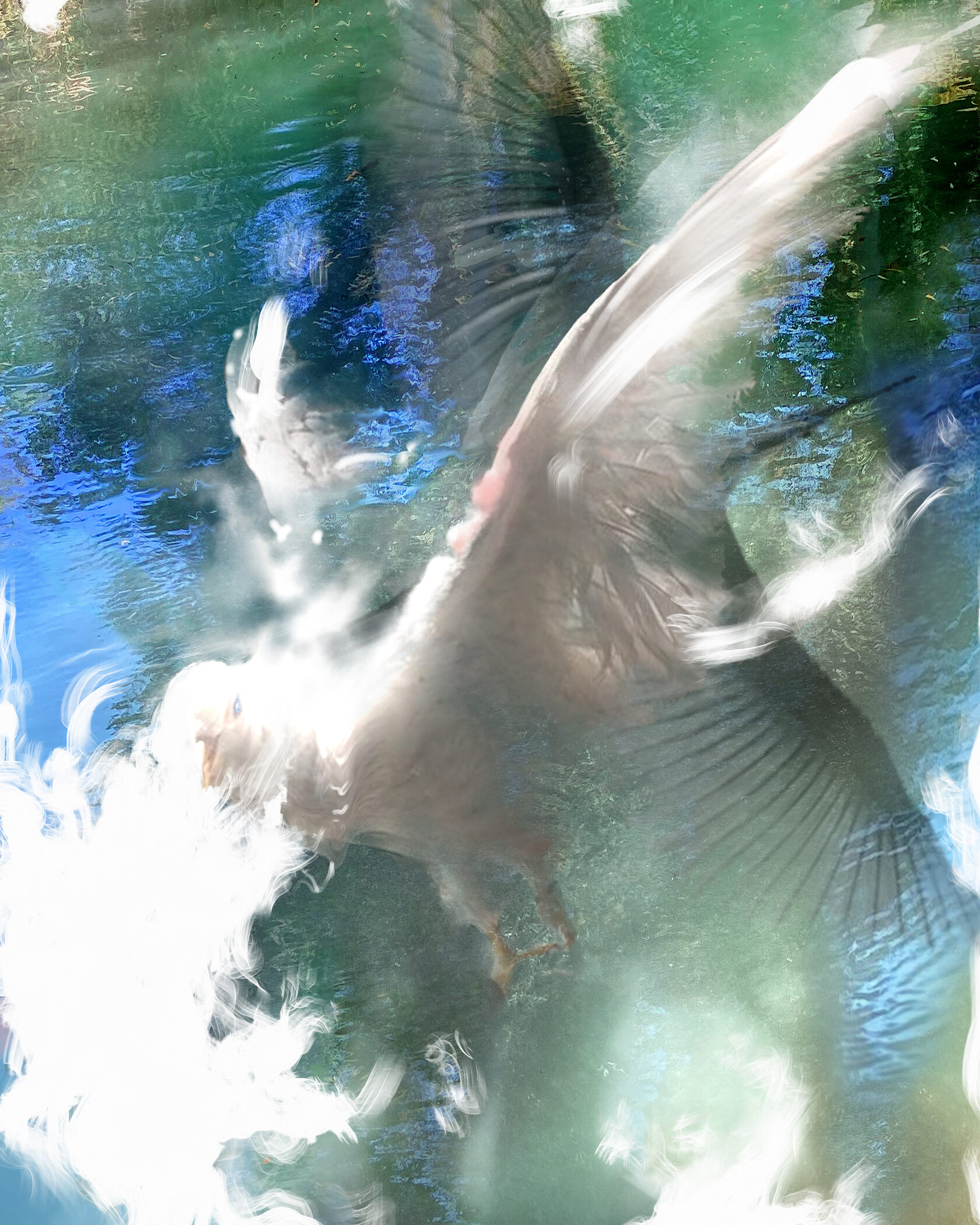 Alex Cheval aka SHURRON ARTWORKS