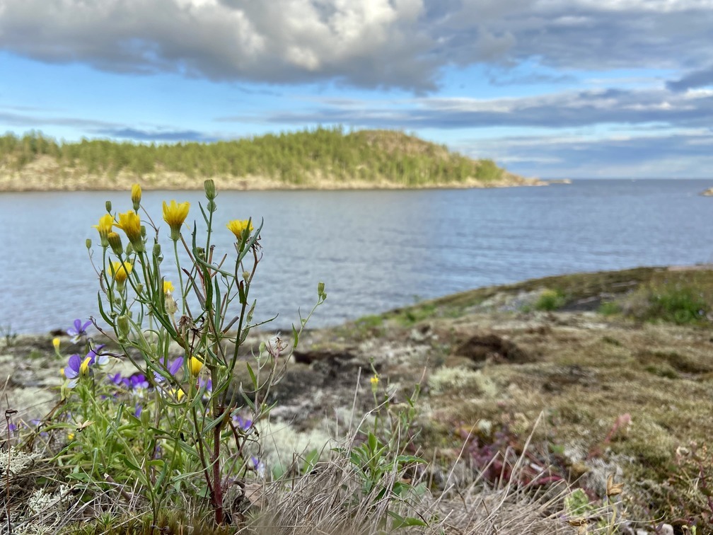 Отдых и досуг в Лахденпохья и Сортавала
