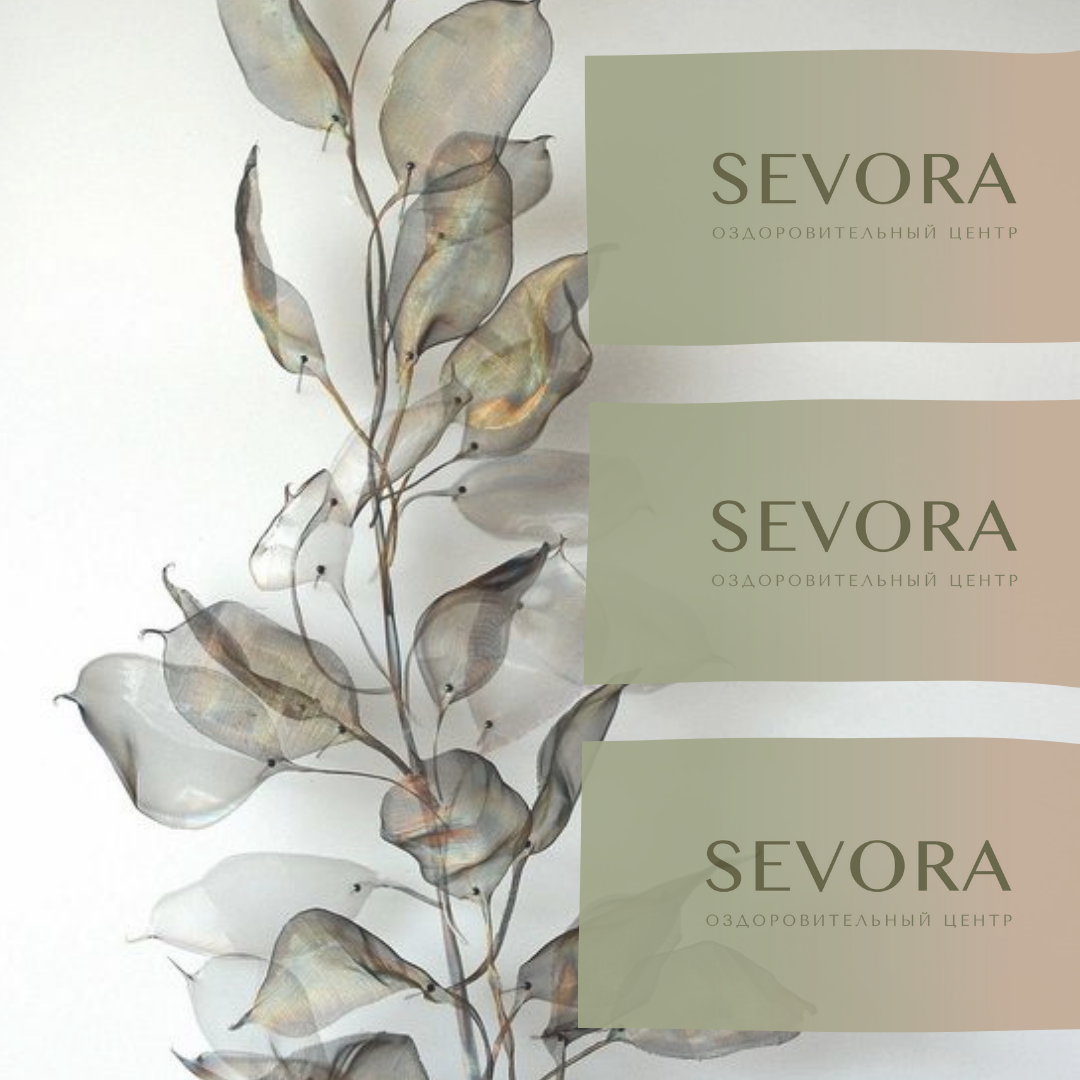 Оздоровительный центр SEVORA