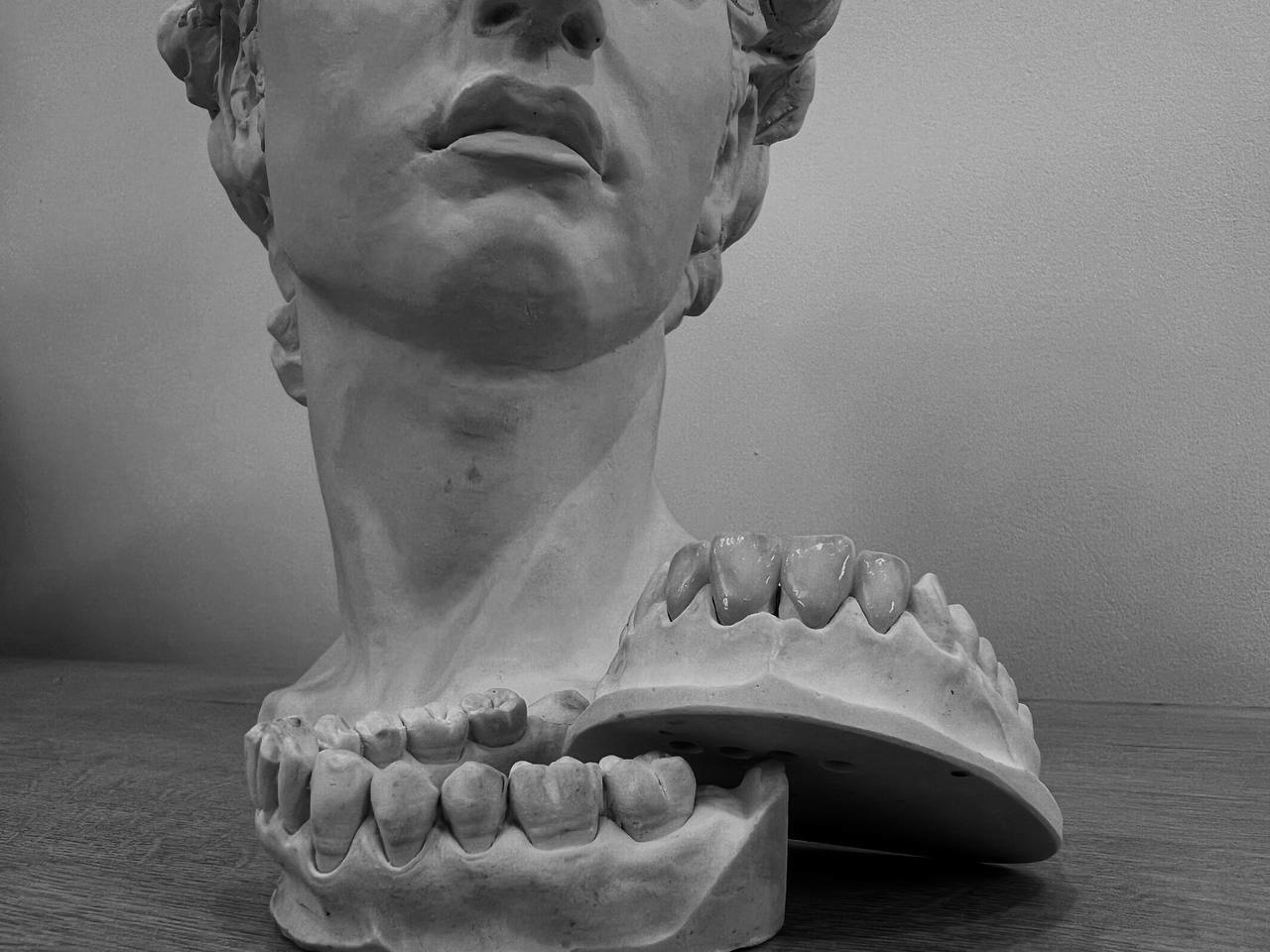 Зуботехническое оборудование EXOSTOM