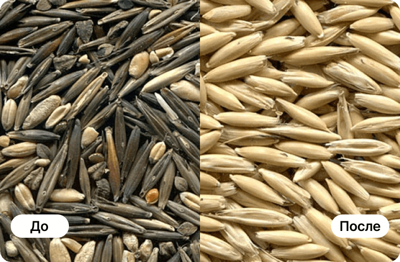 Фотосепаратор SmartSort C3