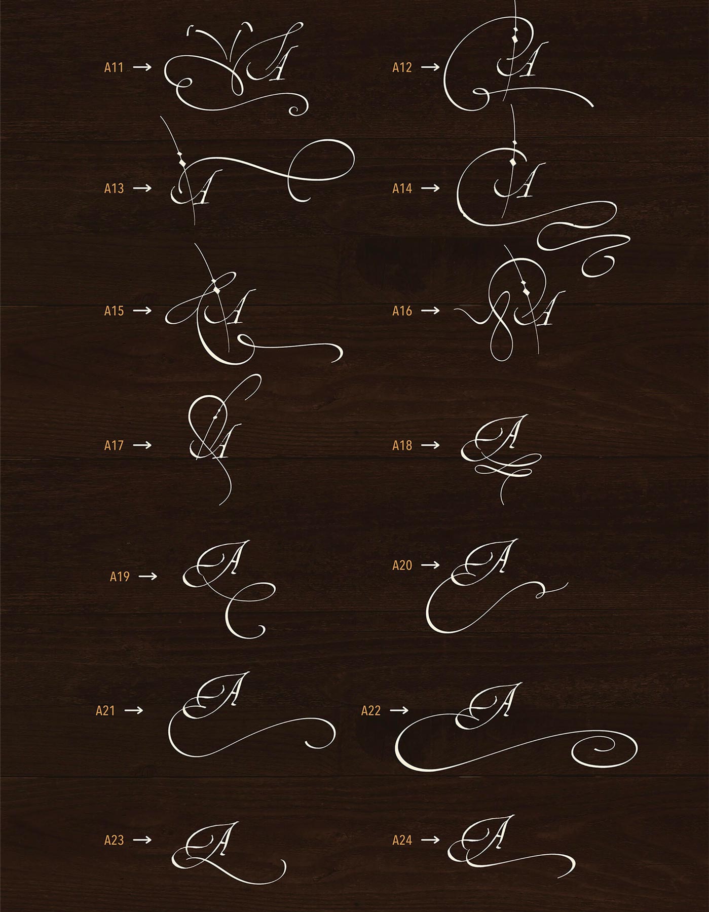 Cardinal Font | Italic Fonts - Blessed Print