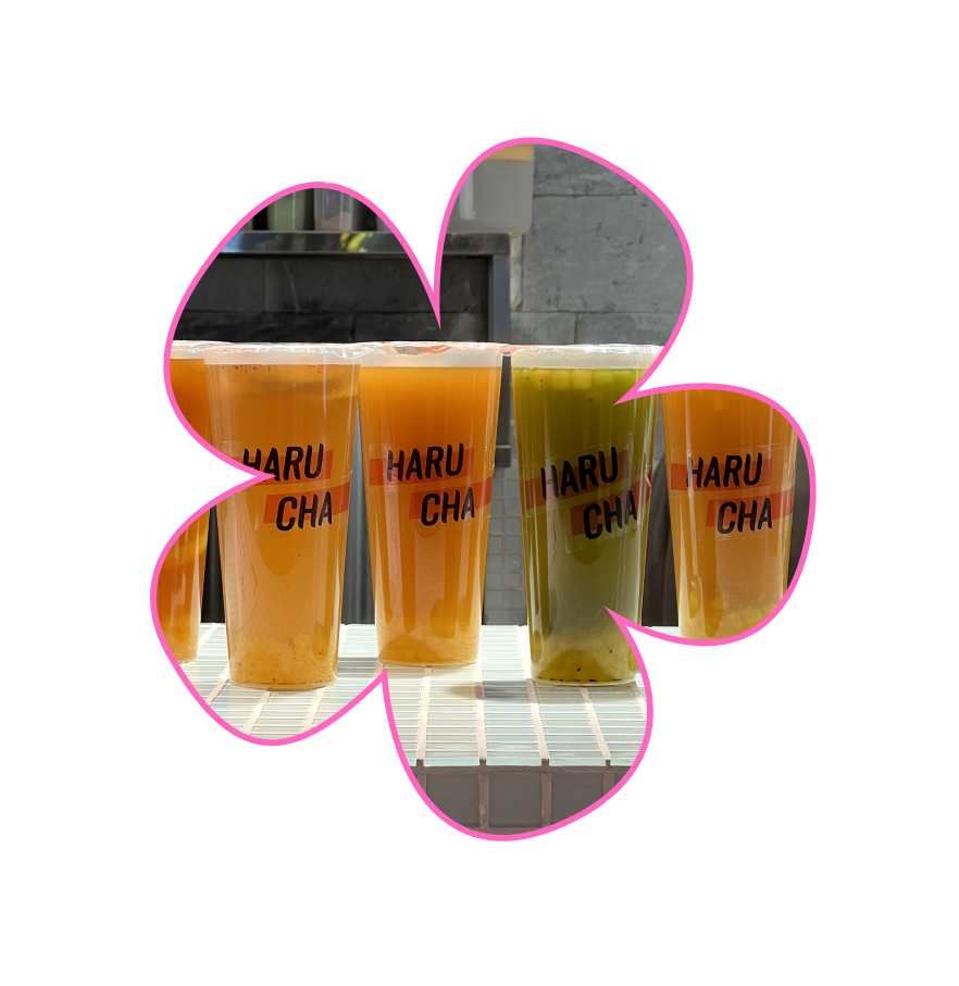 HARUCHA | bubble tea bar