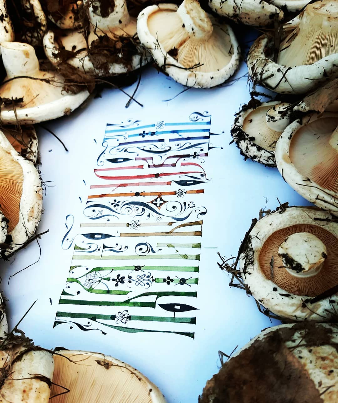 Мастер-класс «Kаллиграфия для ума и души»