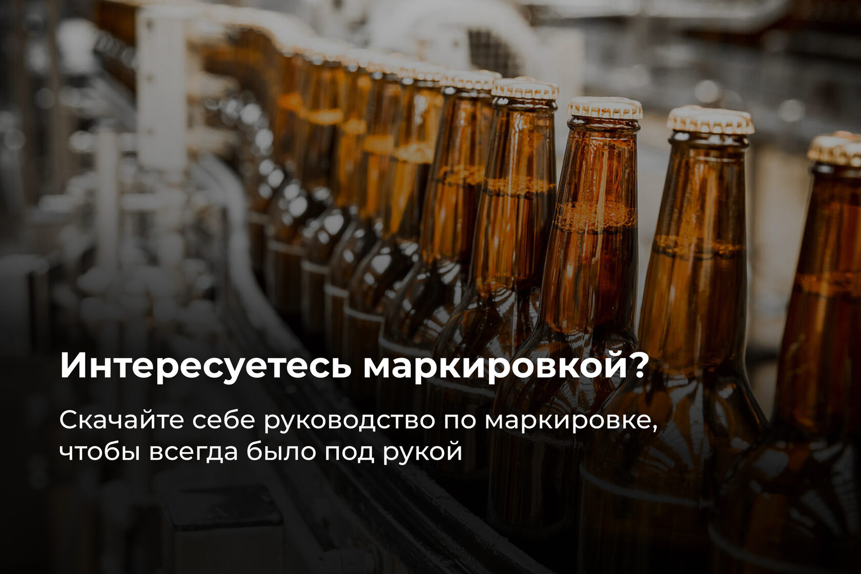 Как вывести товар из оборота в «Честном знаке» | DocsInBox