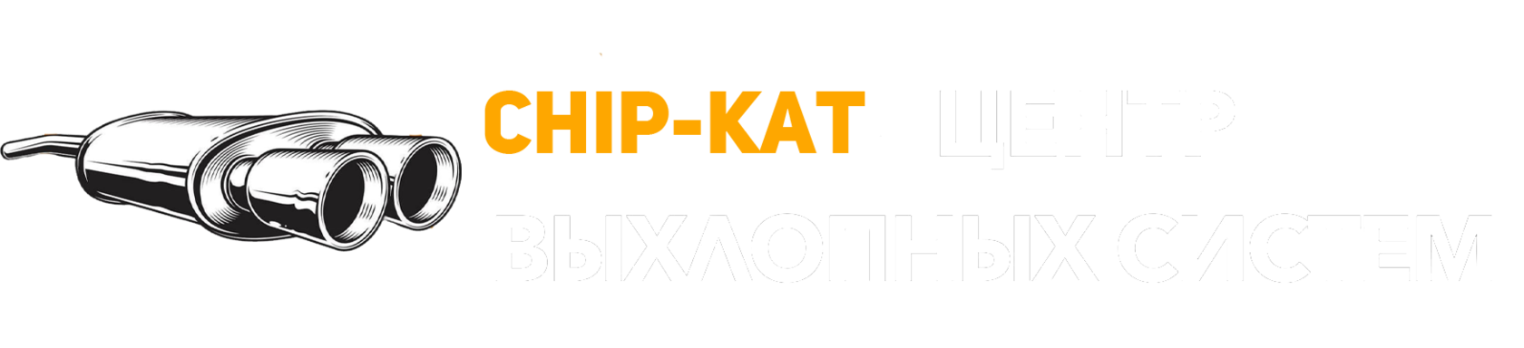«Chip-kat» - бесплатное удаление катализатора
