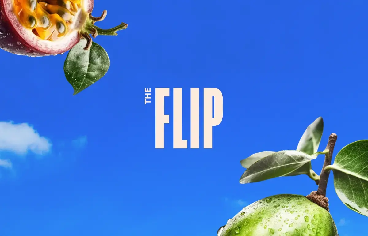 FLIP — Контакты