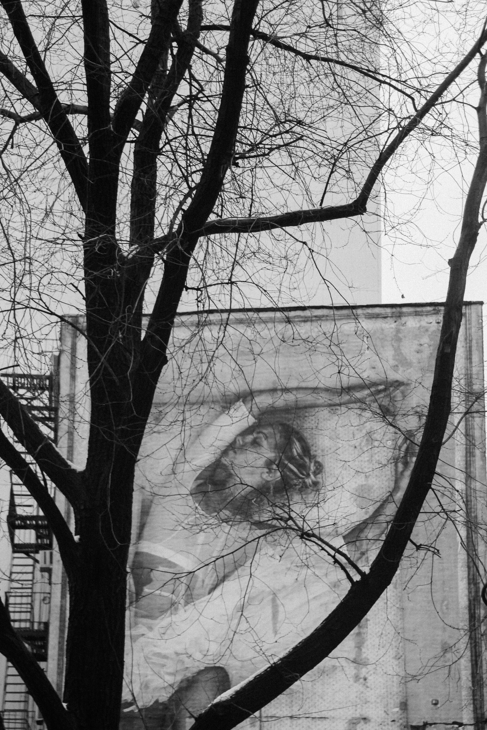 Секреты Балета - студия балета и фитнеса в Санкт-Петербурге