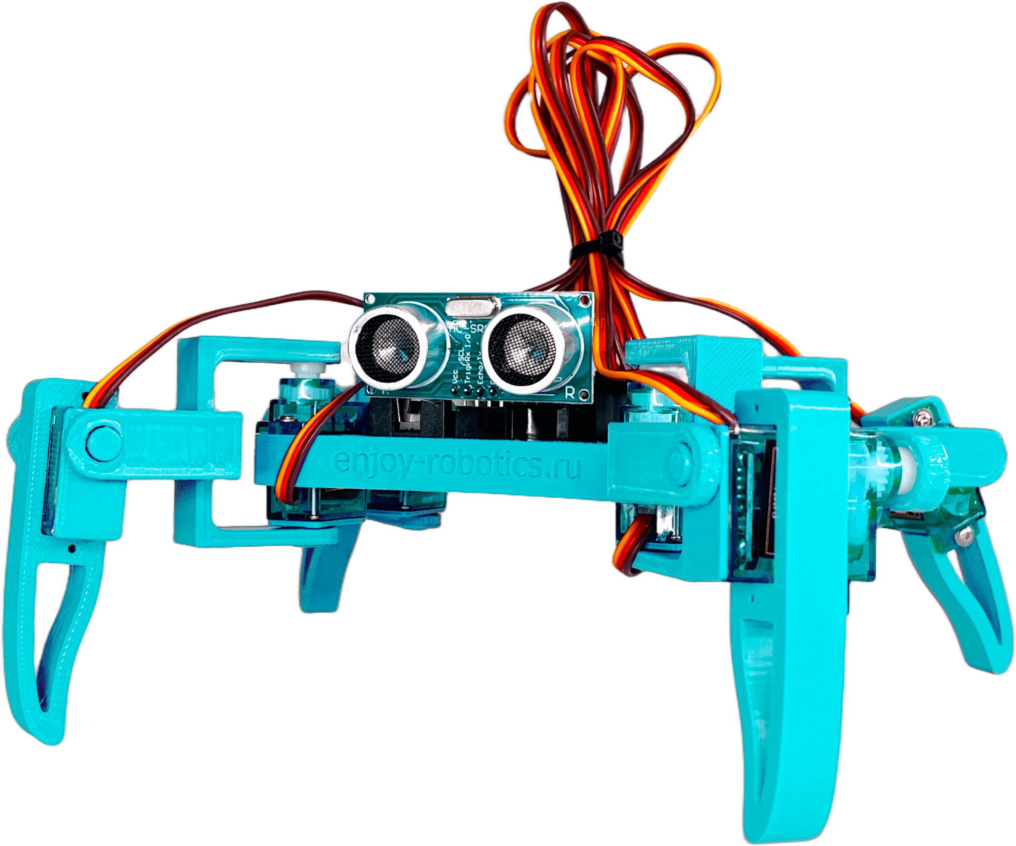 Лаборатория робототехники и программирования Enjoy Robotics