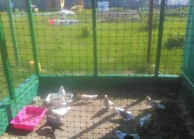 Купить Пластиковую сетку по оптомым ценам