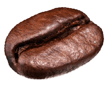 Organic Coffee Evalar: все товары из серии