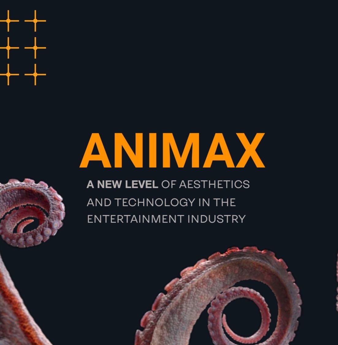 ANIMAX