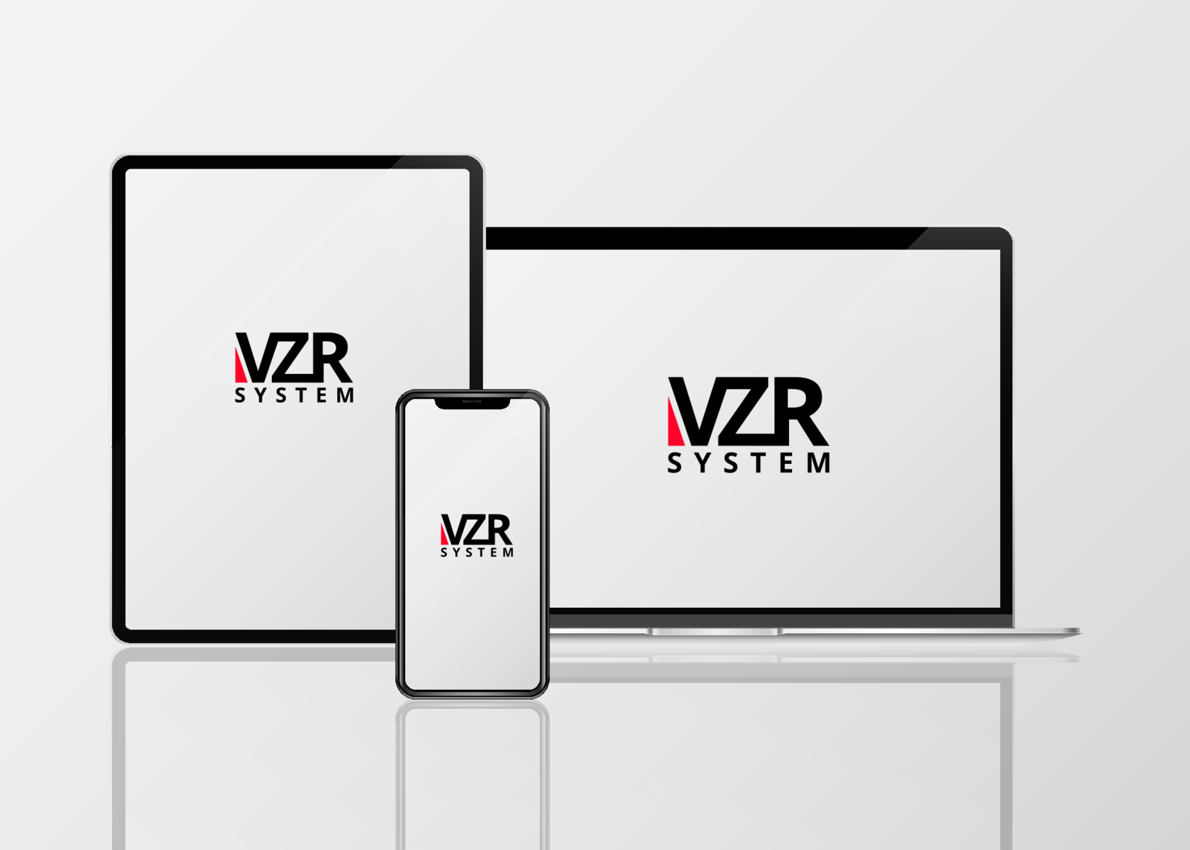 VZR System - Integrated Access Control & Turnstile Solutions