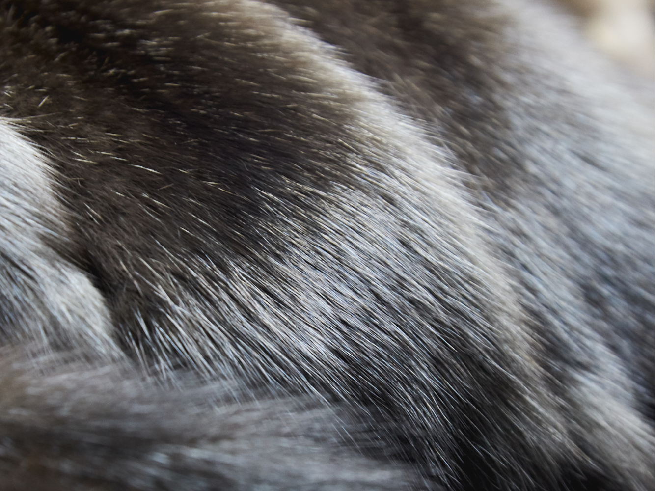 История создания бренда Furnari