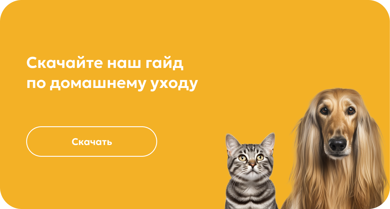 Pamilee — уходовая косметика для животных