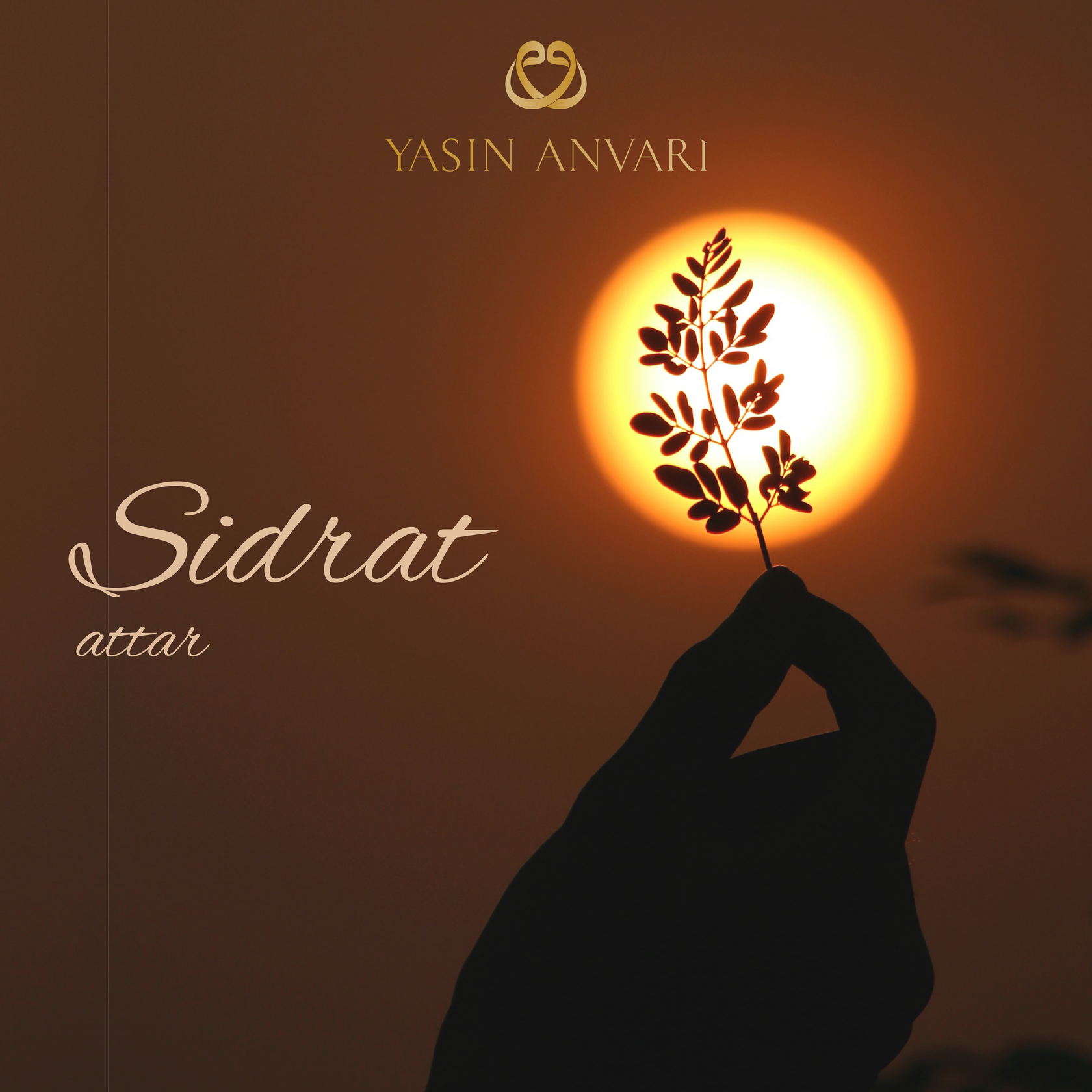 Attar #13 SIDRAT