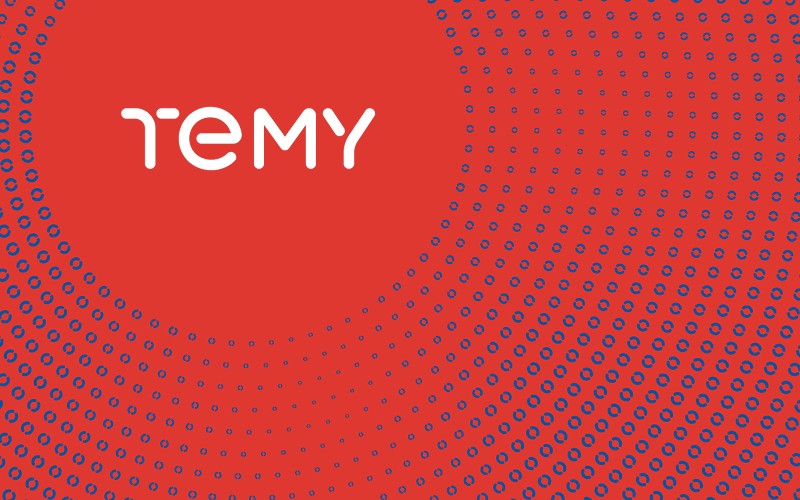 Temy | Boutique software development agency