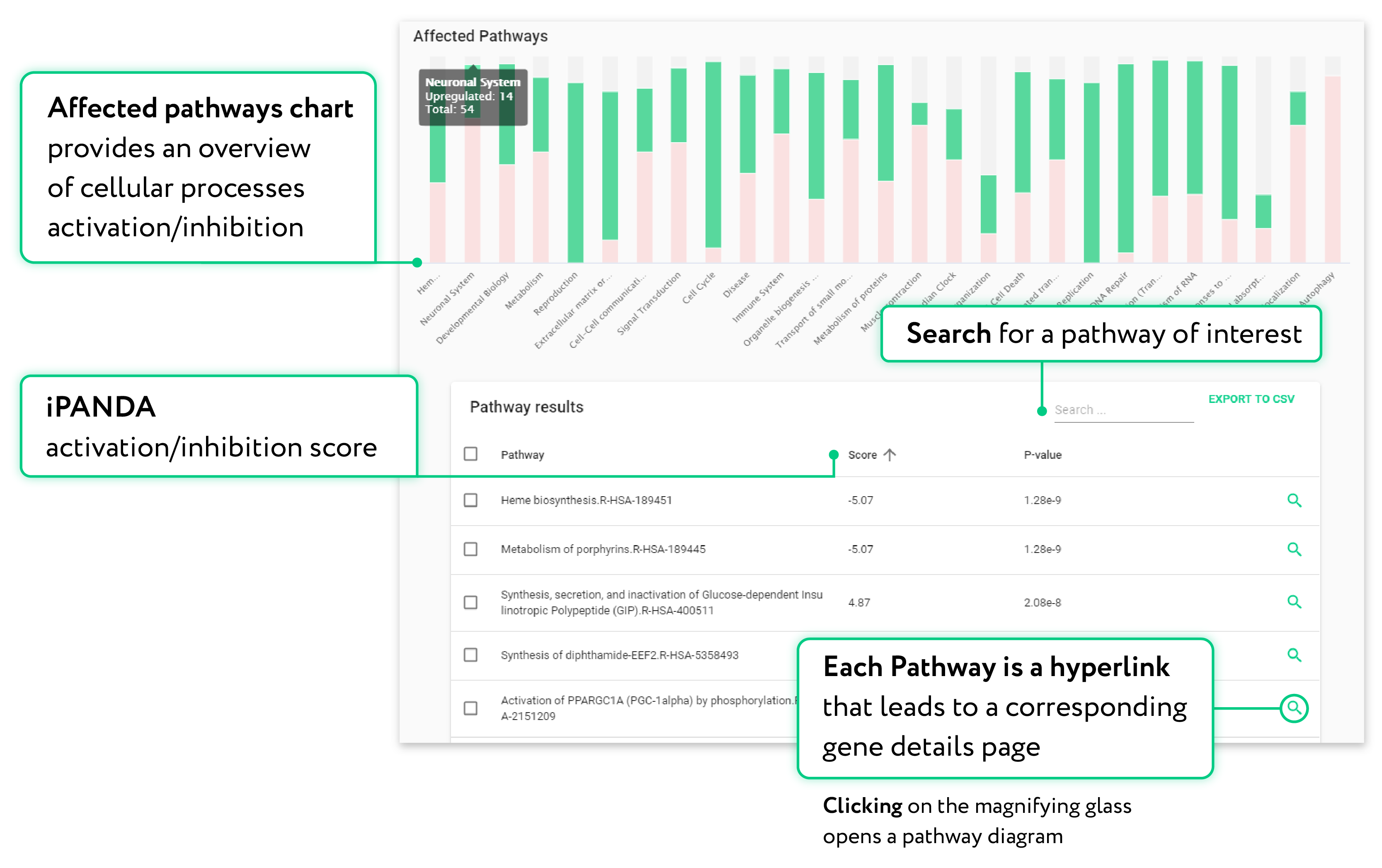 PandaOmics Affected Pathways