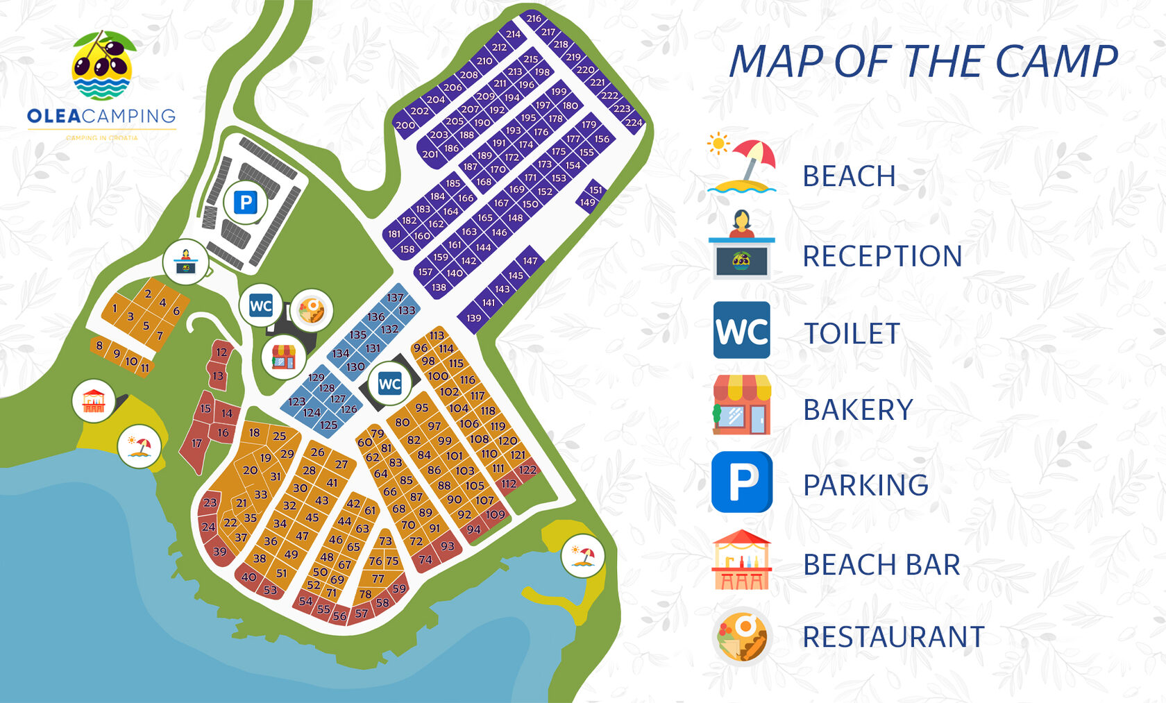 Welcome to Olea Camping