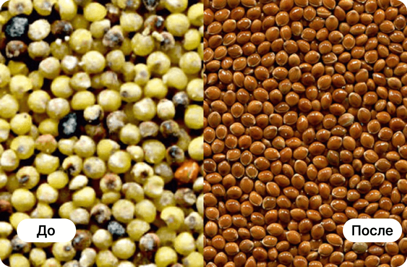 Фотосепаратор SmartSort C3