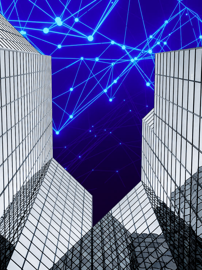 What are the types of IT companies?