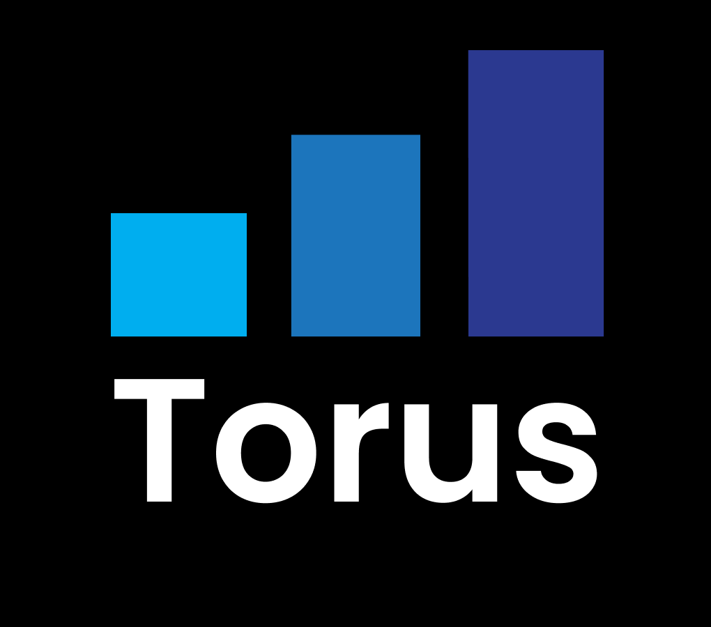 Torus | SaaS analytics to improve payments business profitability